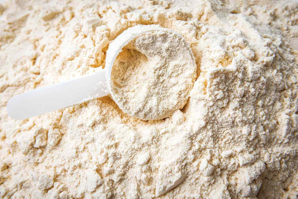 Strive FreeMilk - Dairy Without the Cow Animal-Free Whey Protein Milk ...