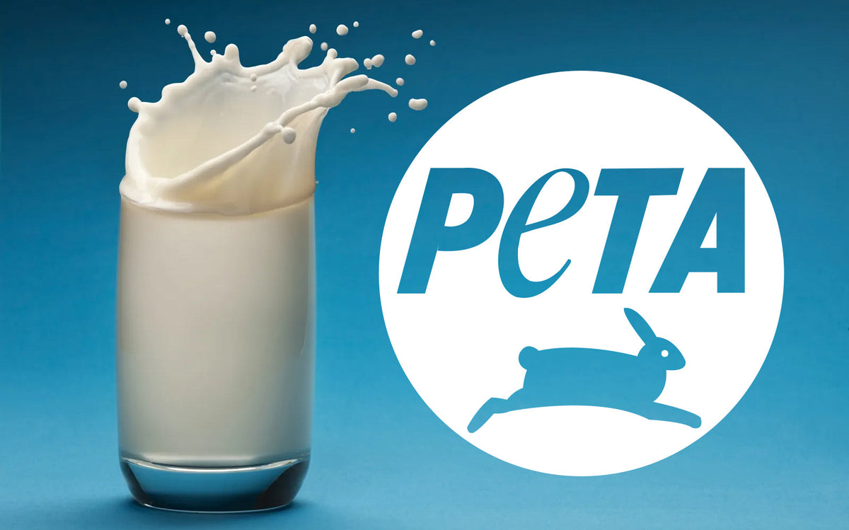 Strive partners with PETA’s new Eat Without Experiments program ...