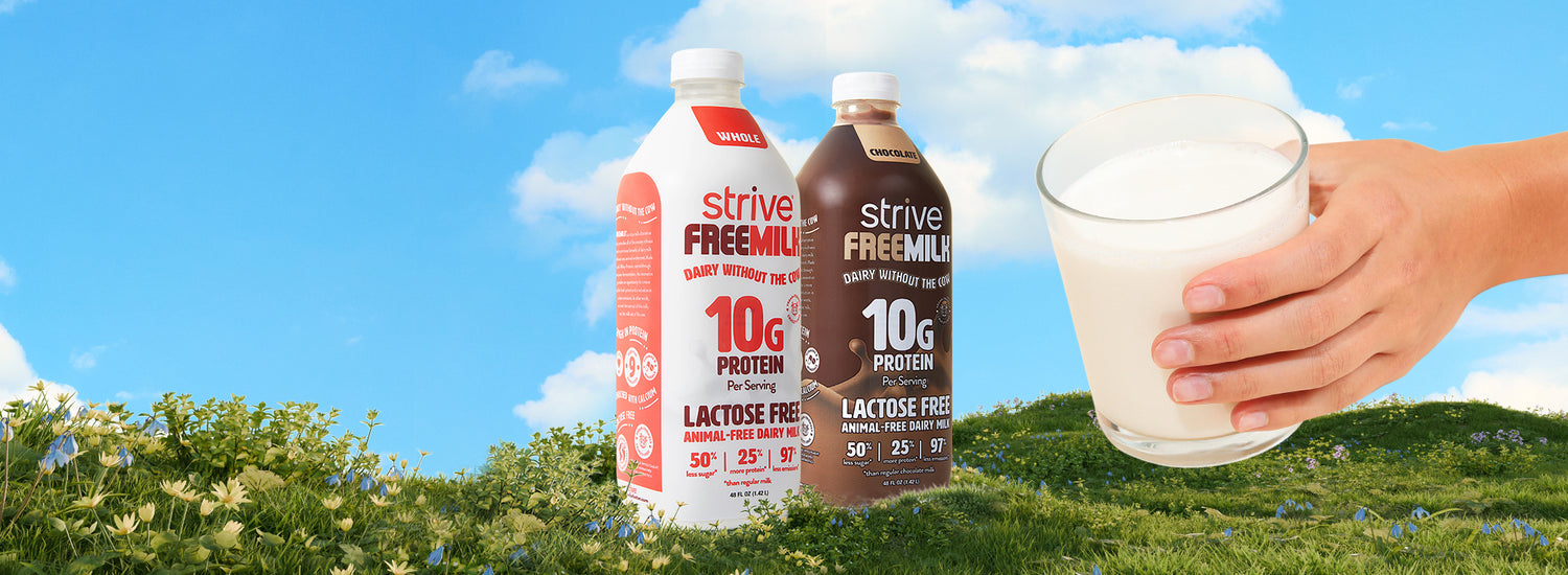 Strive FreeMilk - Dairy Without the Cow Animal-Free Whey Protein Milk ...